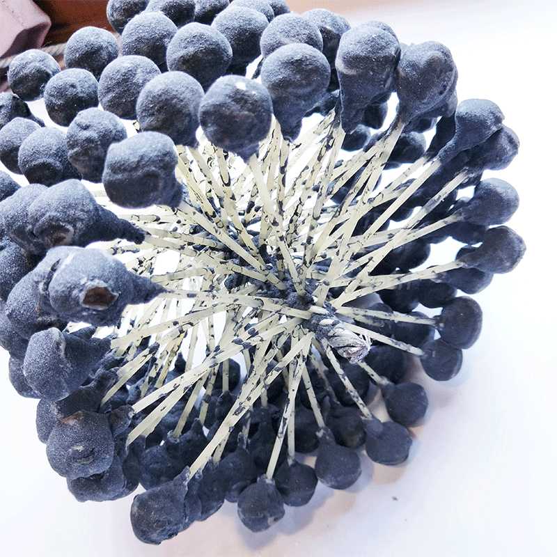 Large Diameter Engine Polishing Flex-Hone Tools -Huixi Brush